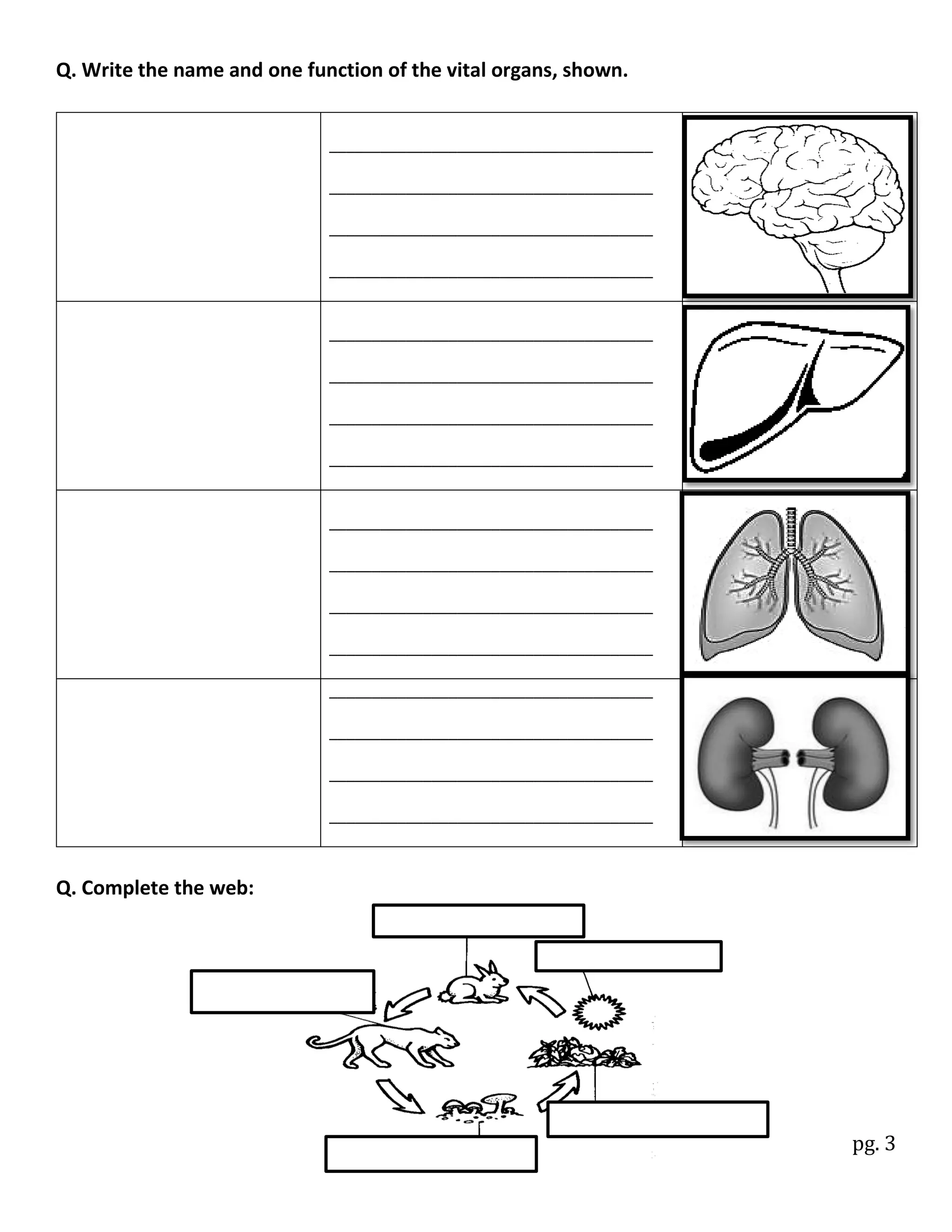 Science General Knowledge 3 | PDF