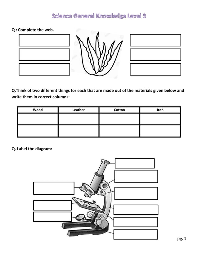 Science General Knowledge 3 | PDF