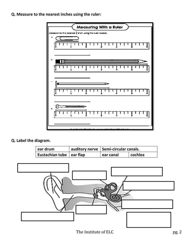 Science General Knowledge 3 | PDF