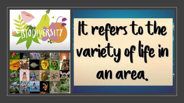 Science for Grade-9-Quarter-1-MODULE 5.pptx