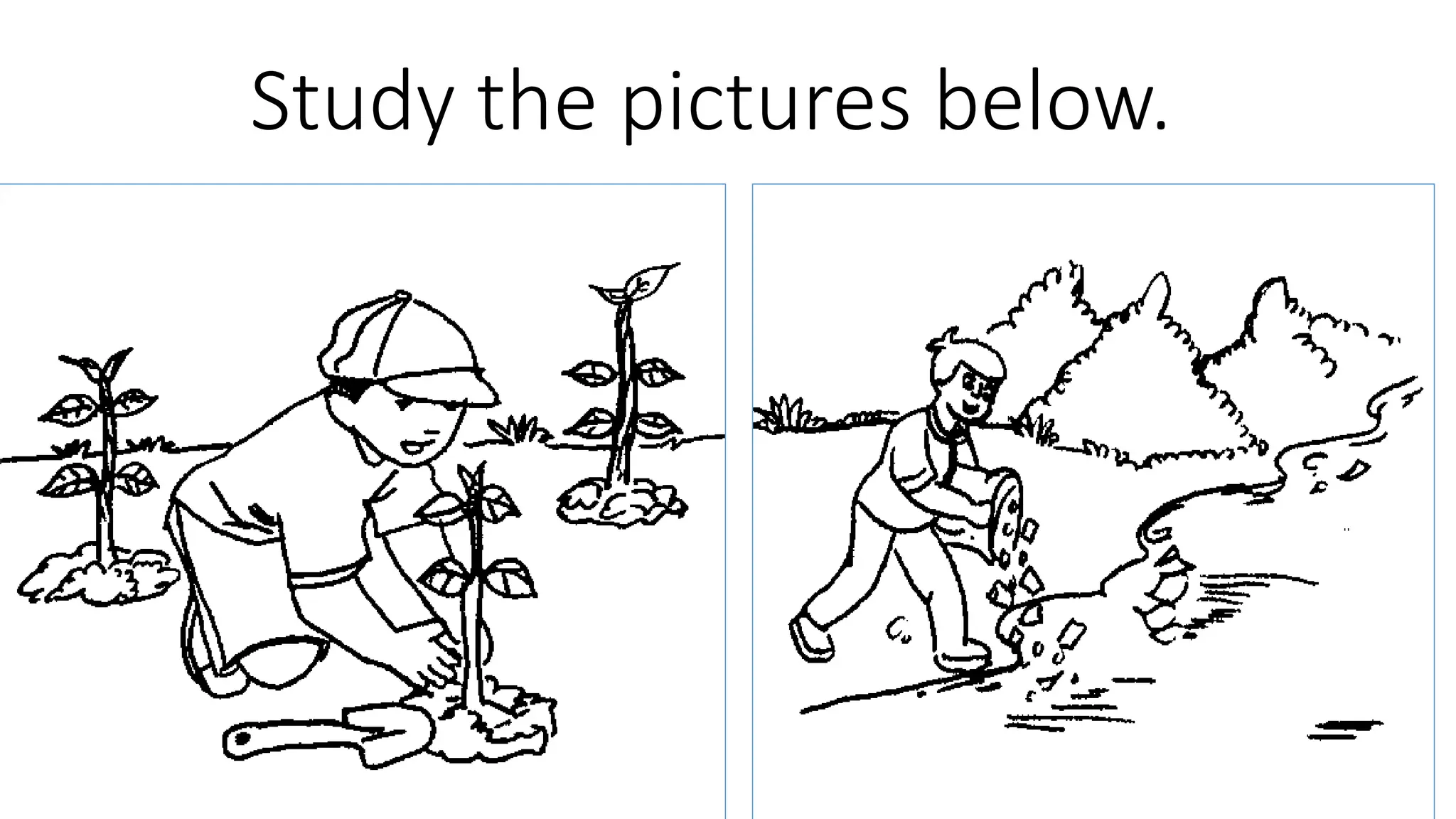 special science class grade 1 week 2.pptx