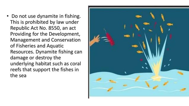 special science class grade 1 week 2.pptx