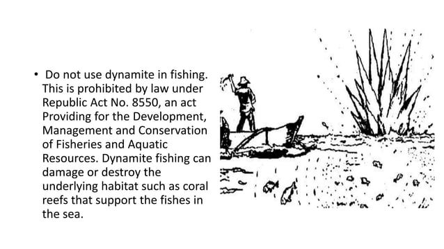 special science class grade 1 week 2.pptx