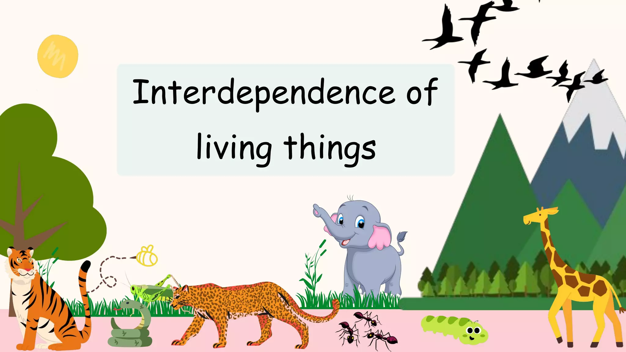 Living Things and their Environment | PDF