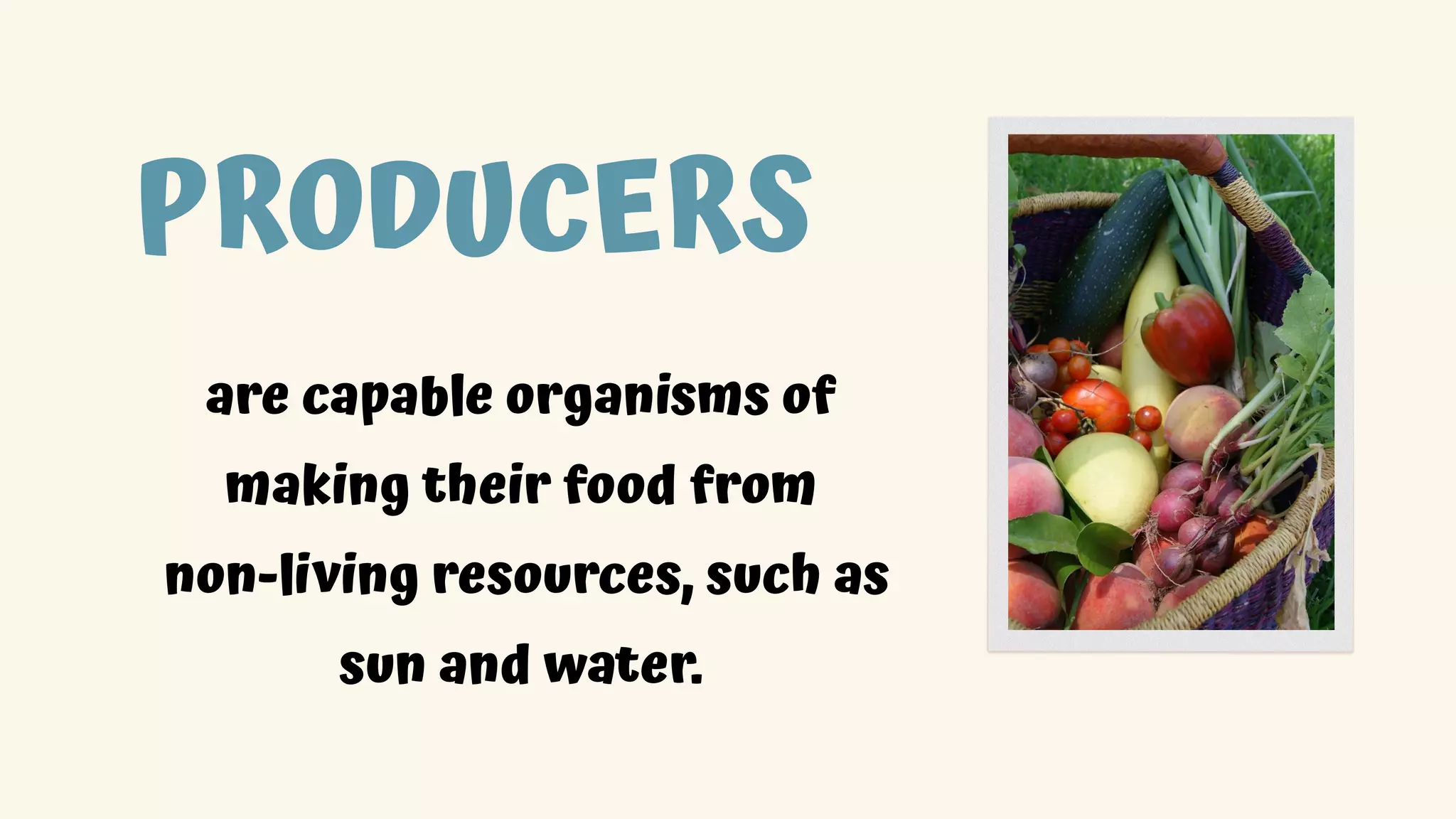 Living Things and their Environment | PDF