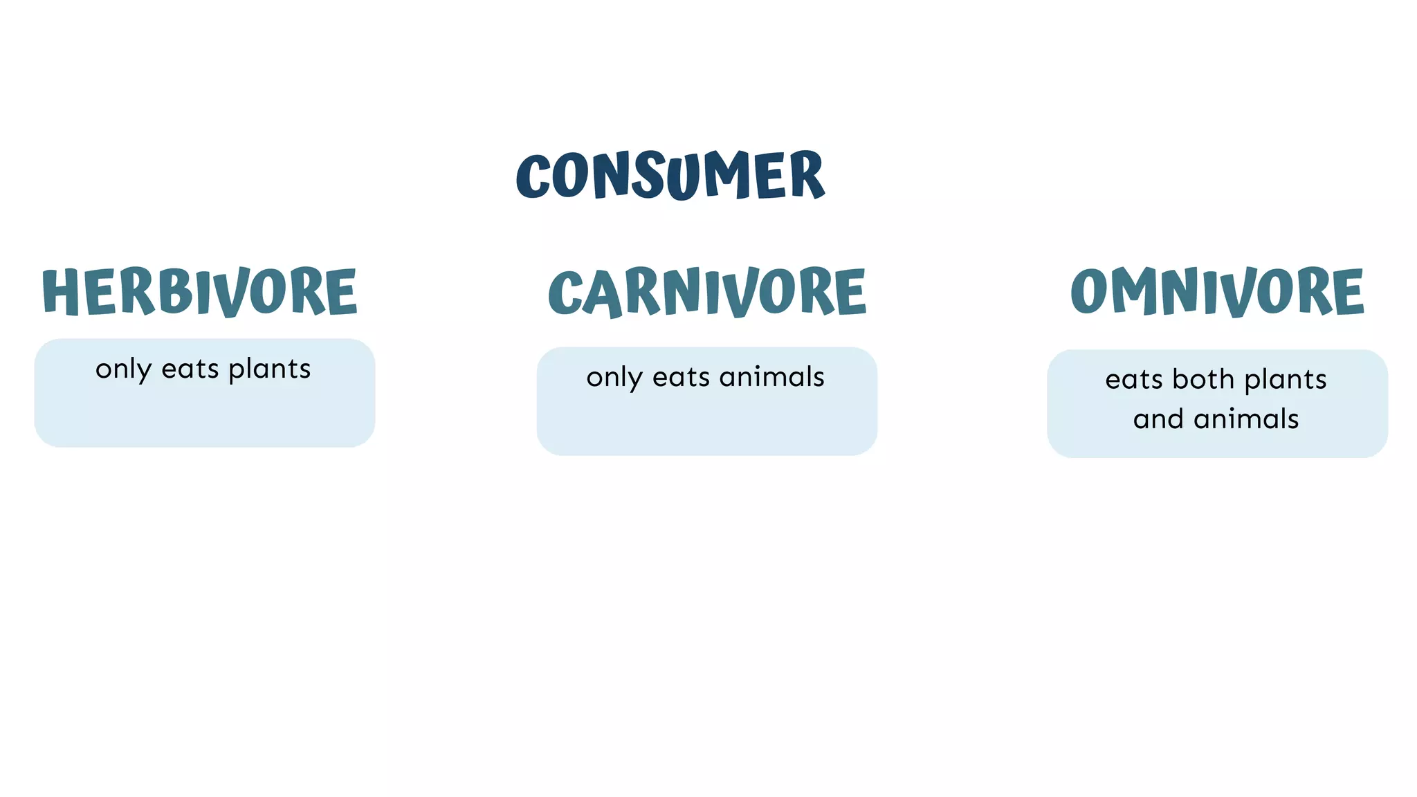Living Things and their Environment | PDF