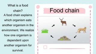 Living Things and their Environment | PDF