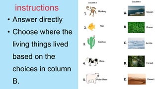 Living Things and their Environment | PDF