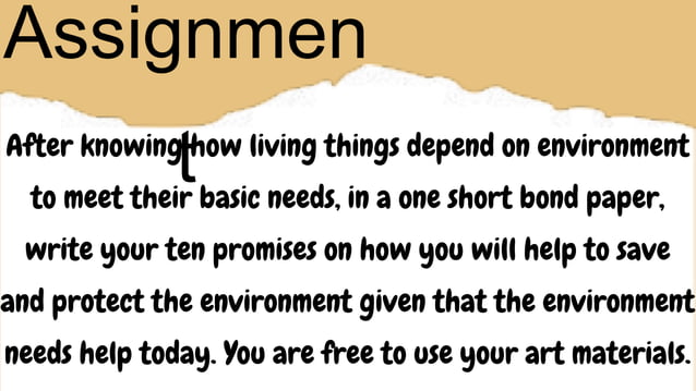 Living Things and their Environment | PDF