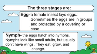 sciencegrade4to.pptx