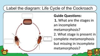 sciencegrade4to.pptx