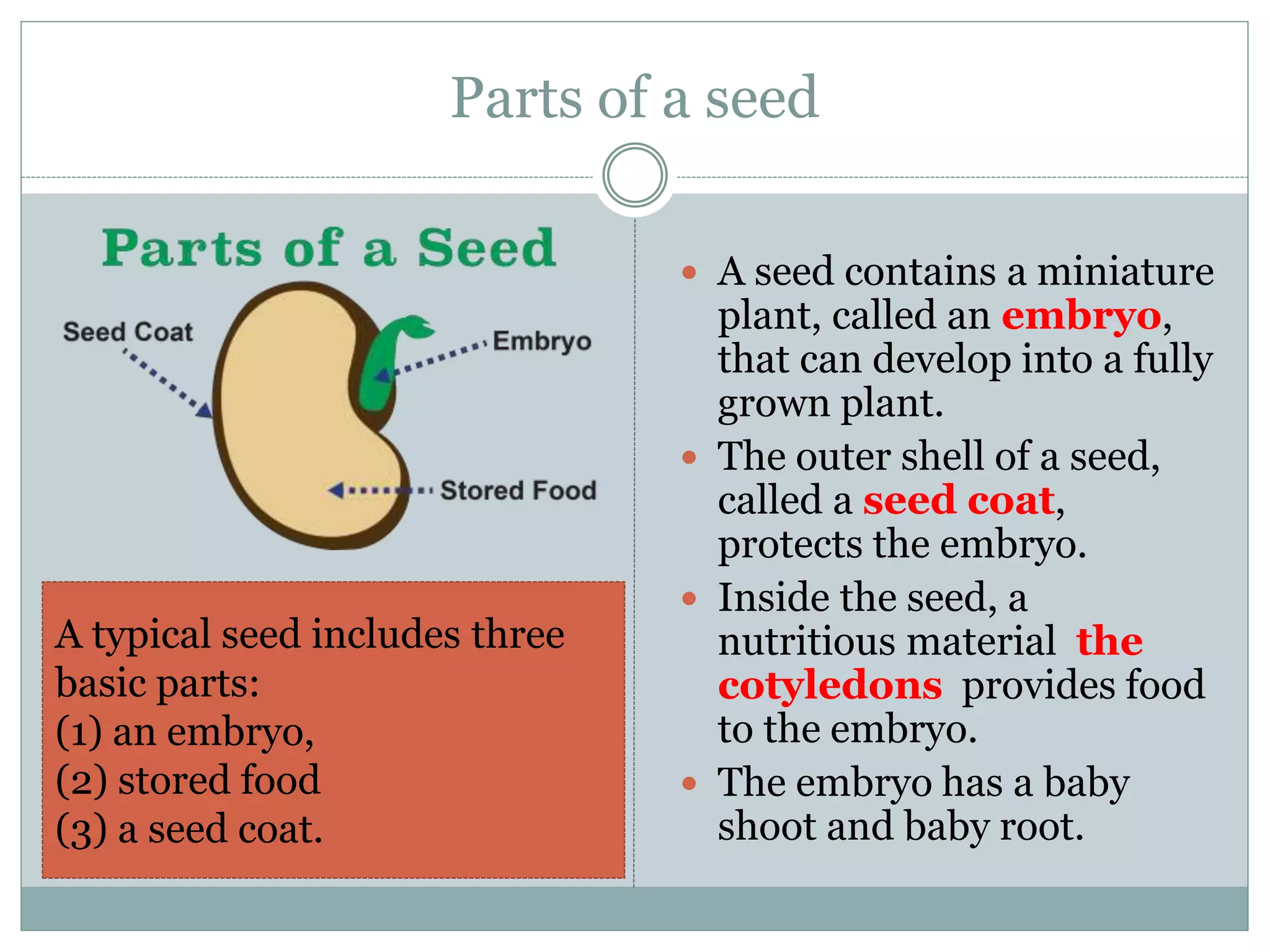 SCIENCE GRADE 5 - SEED.pptx