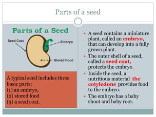 SCIENCE GRADE 5 - SEED.pptx