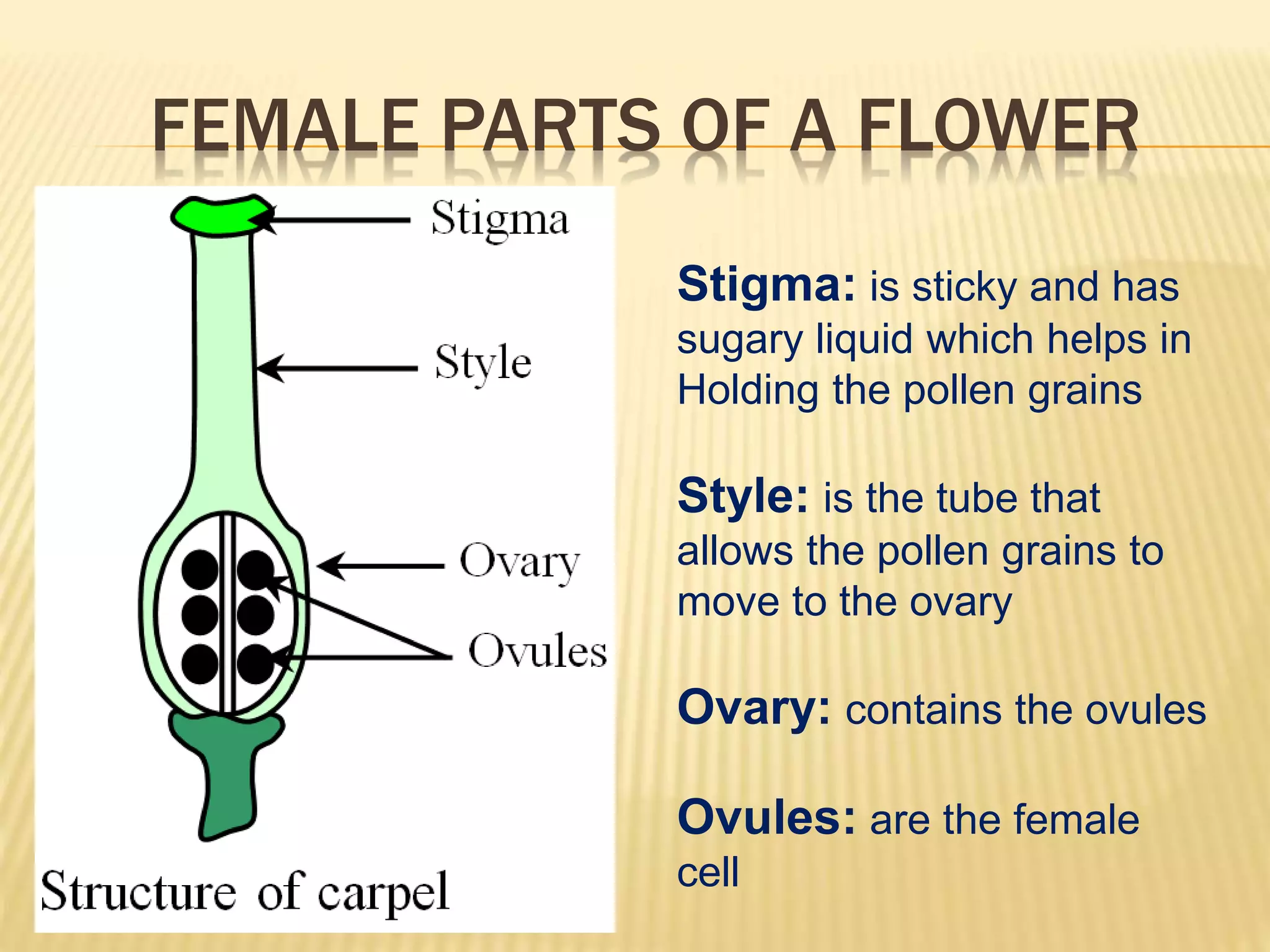 Science notes grade 6 | PPTX