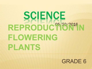 Science notes grade 6 | PPTX | Infertility | Reproductive Health