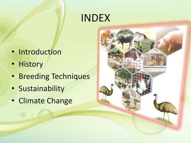 poultry Science holiday assignment | PPTX | Agriculture | Industries