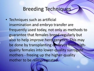 poultry Science holiday assignment | PPTX