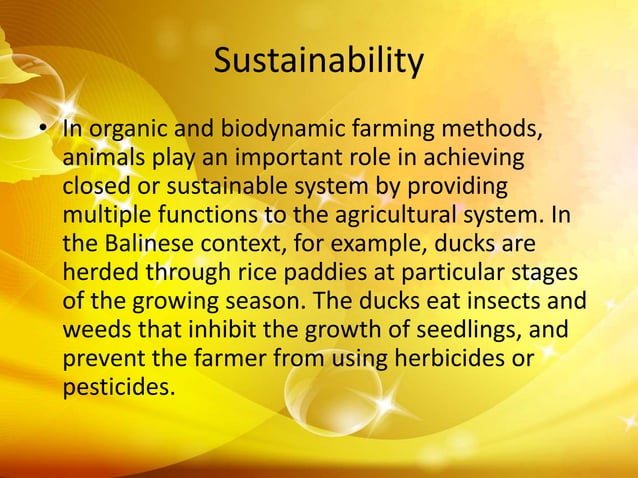 poultry Science holiday assignment | PPTX | Agriculture | Industries