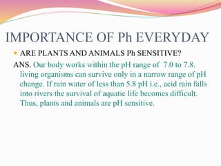 Acids, Bases & Salts | PPTX