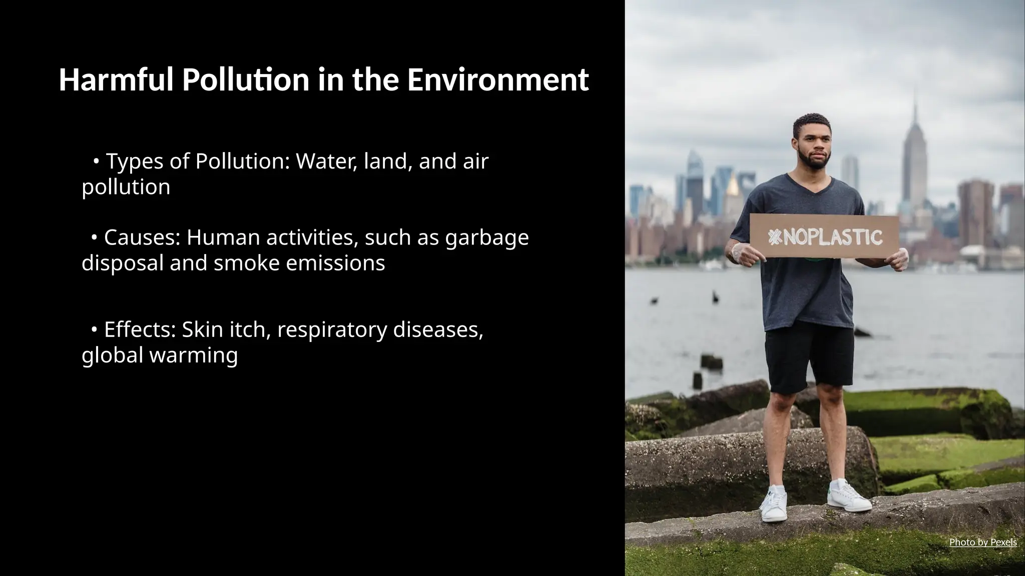 Science Holiday Homework (interesting slide ) | PPTX