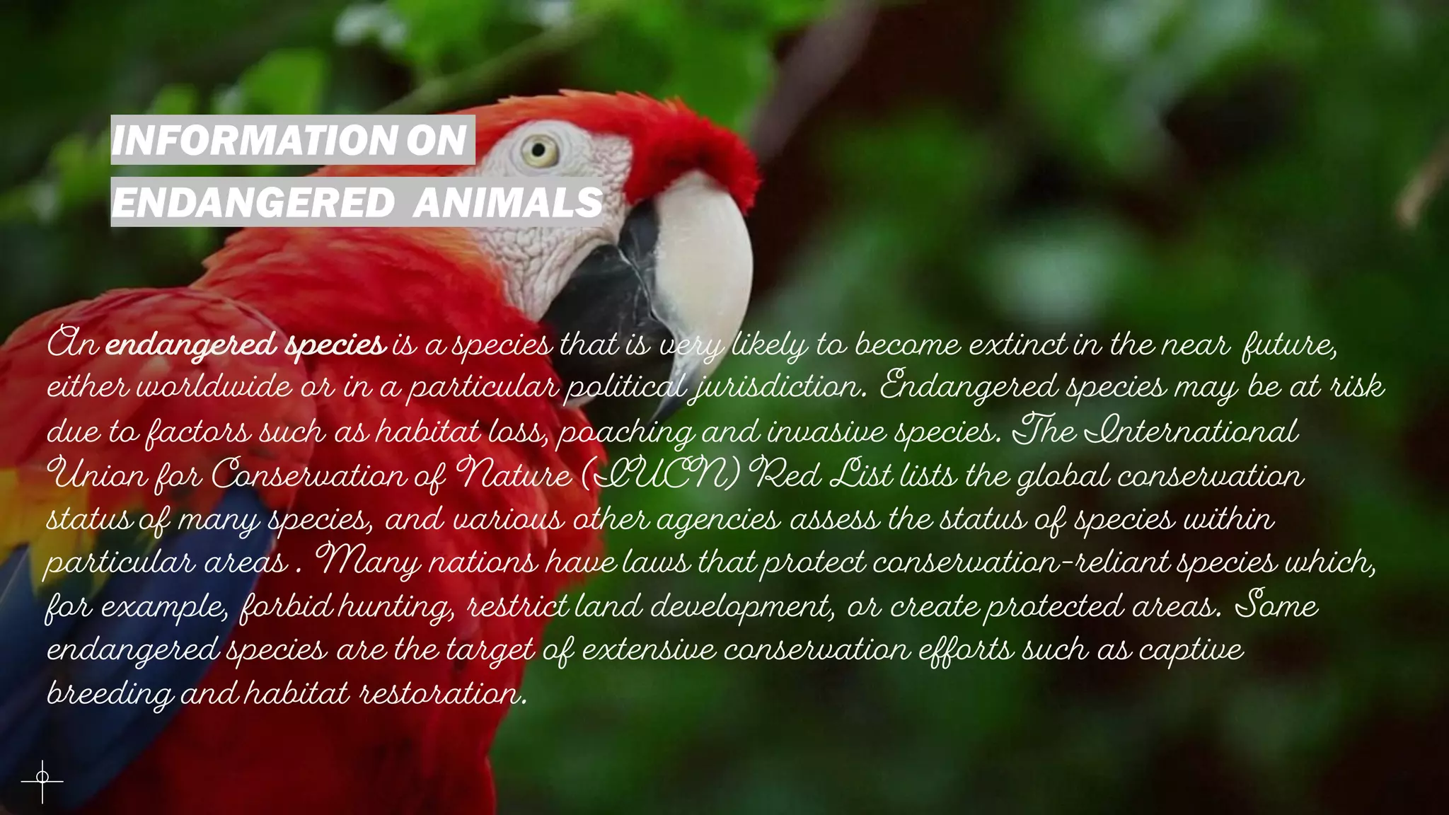 Science_Holiday_Homework (1).pdf