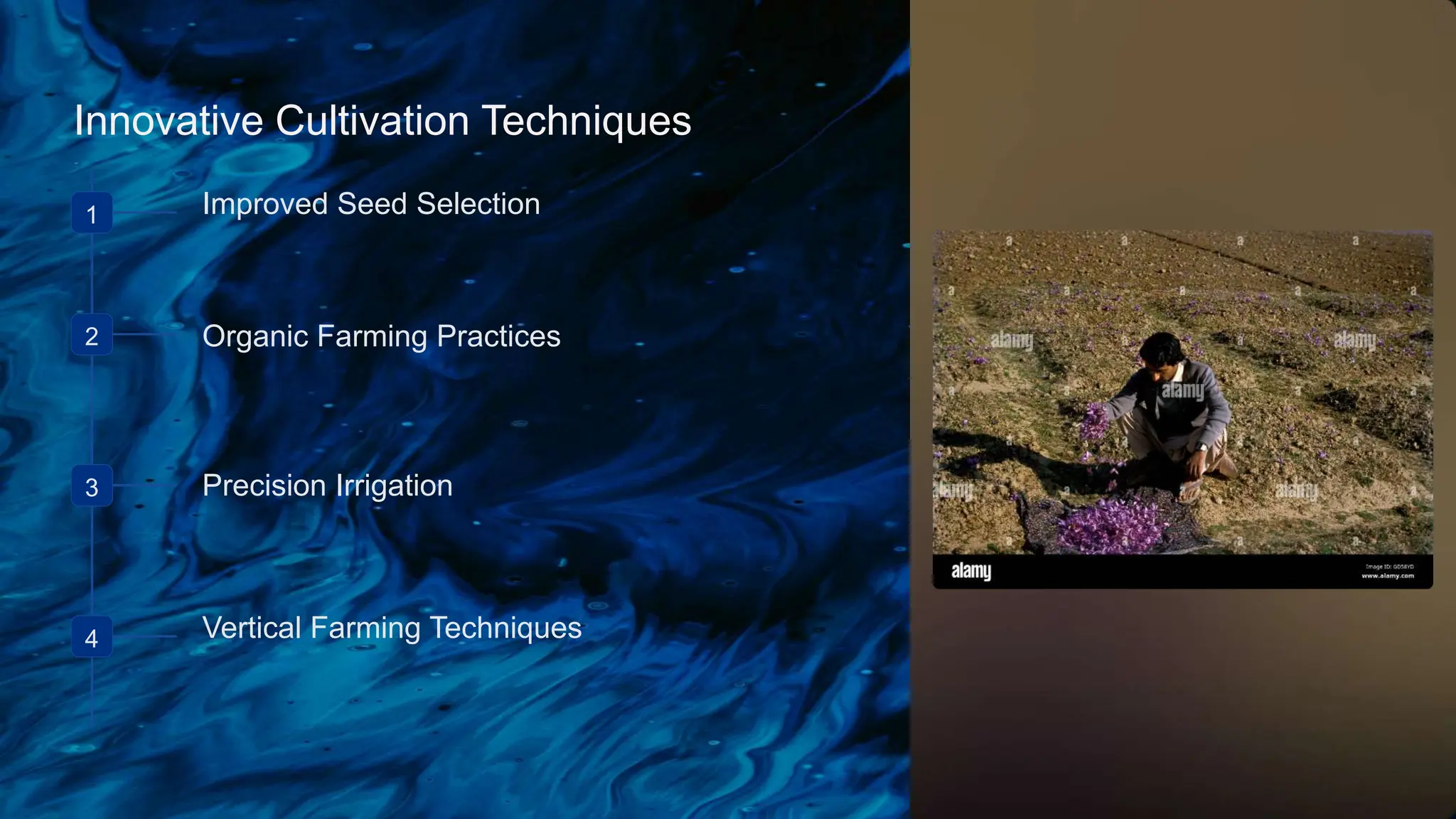 Science inter disciplinary ppt final presentation | PPT