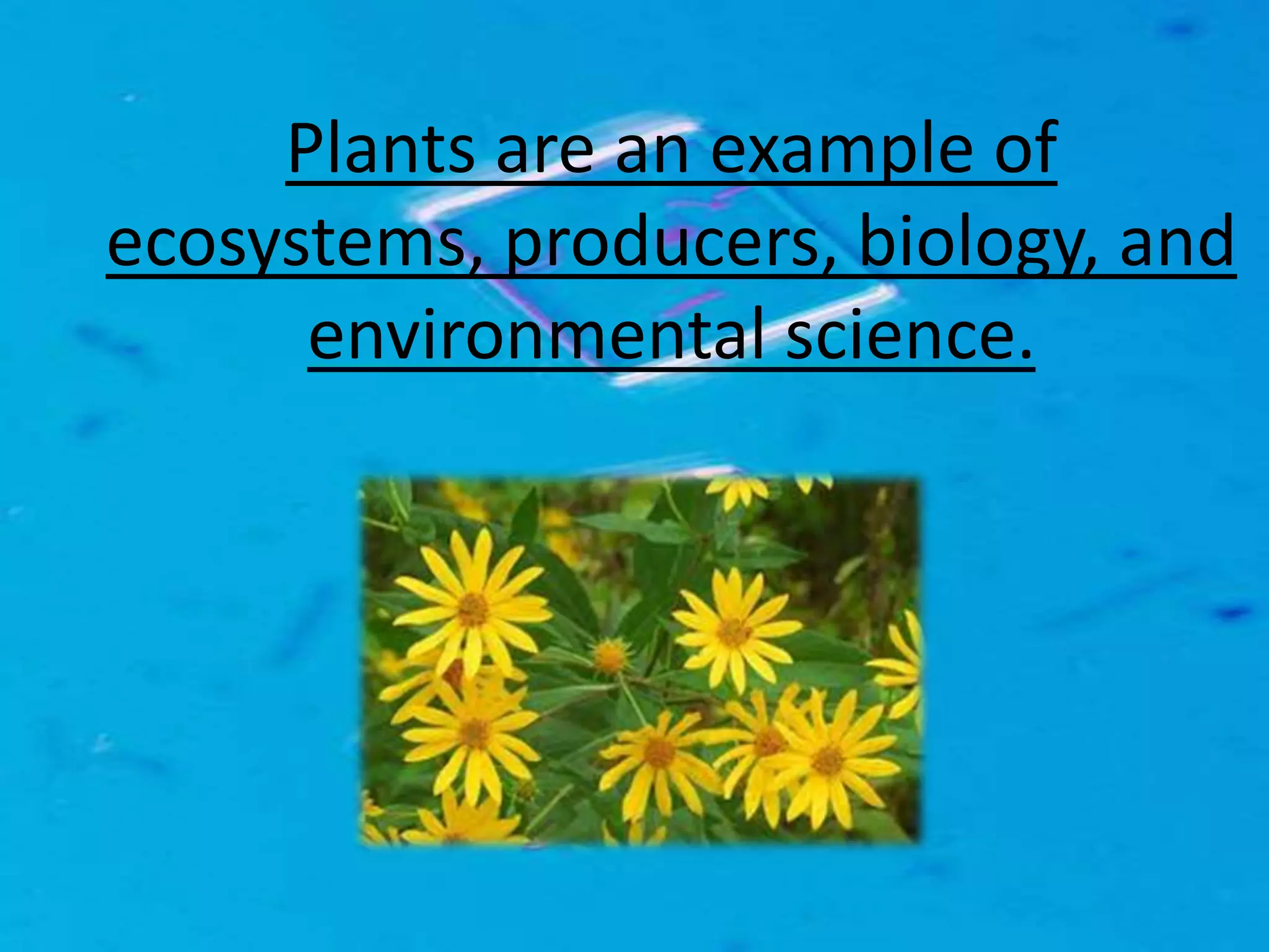 Science in everyday life | PPTX