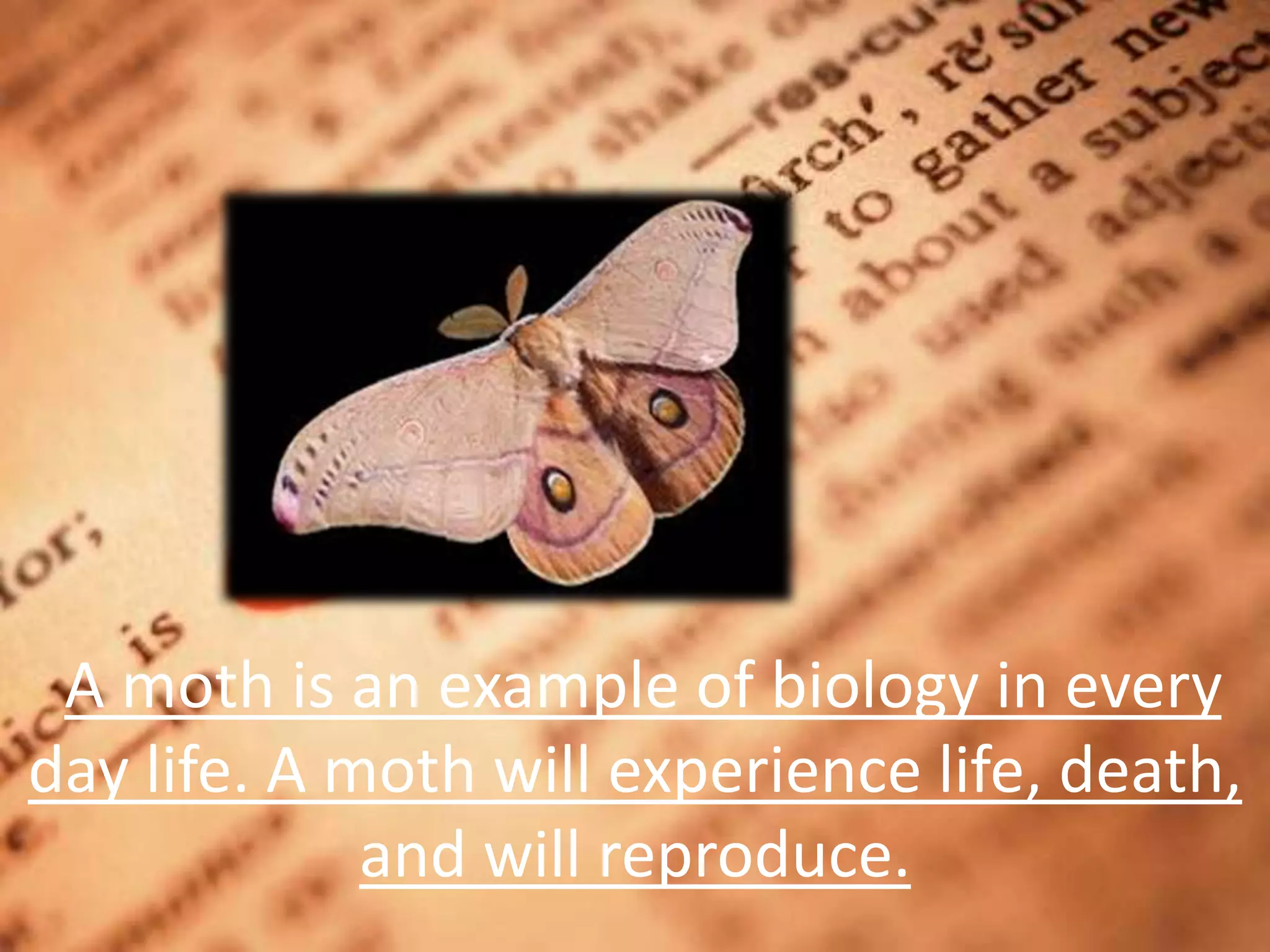 Science in everyday life | PPTX