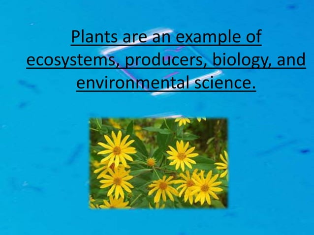 Science in everyday life | PPTX | Chemistry | Science