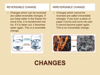 SCIENCE IN EVERYDAY LIFE- class 6- physc | PPTX
