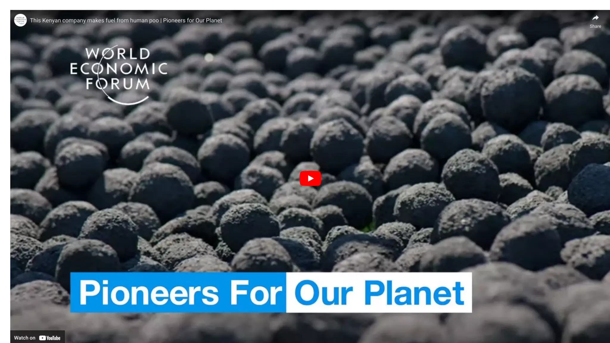 SCIENCE INVESTIGATORY Project.pdf