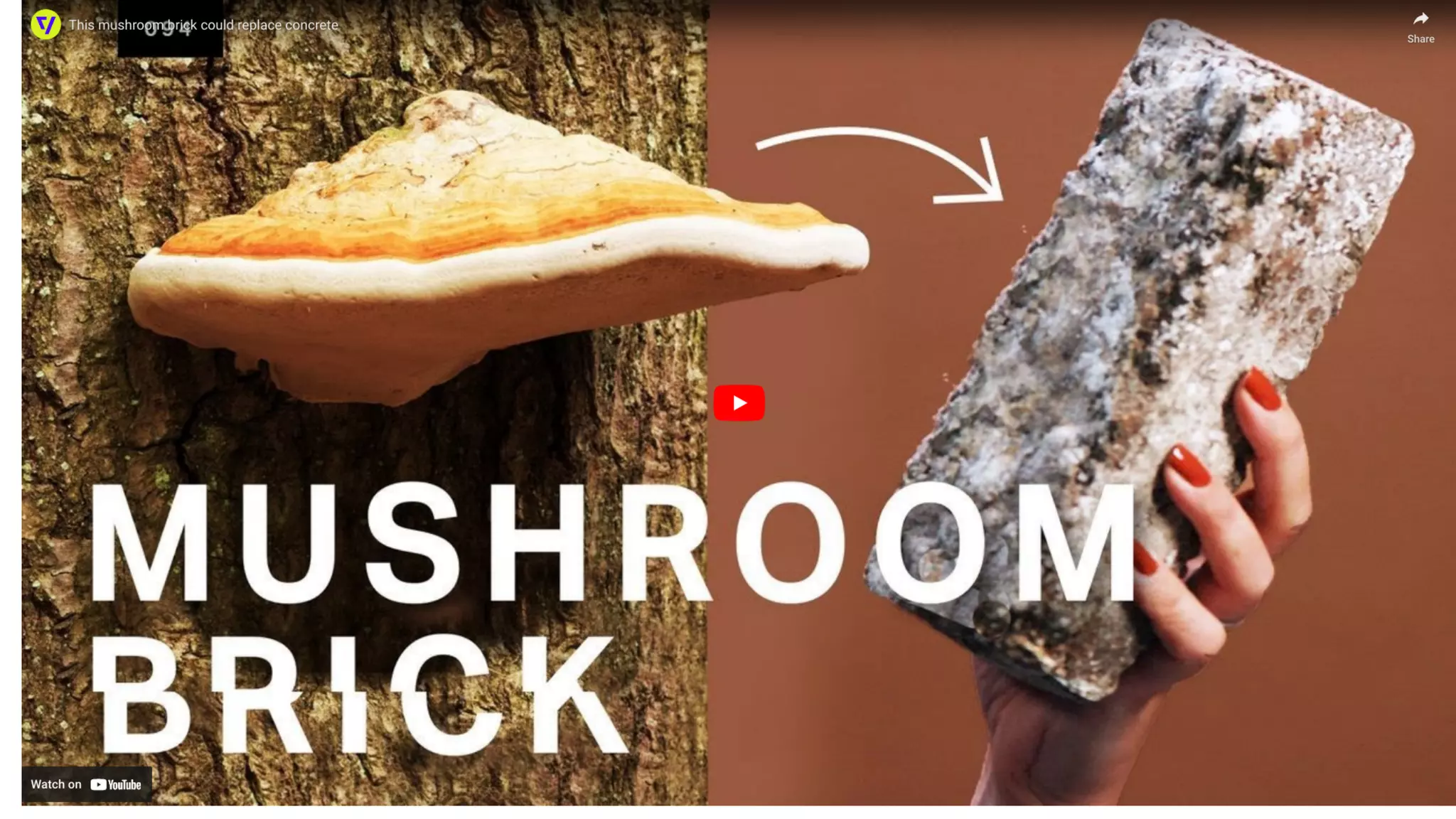 SCIENCE INVESTIGATORY Project.pdf