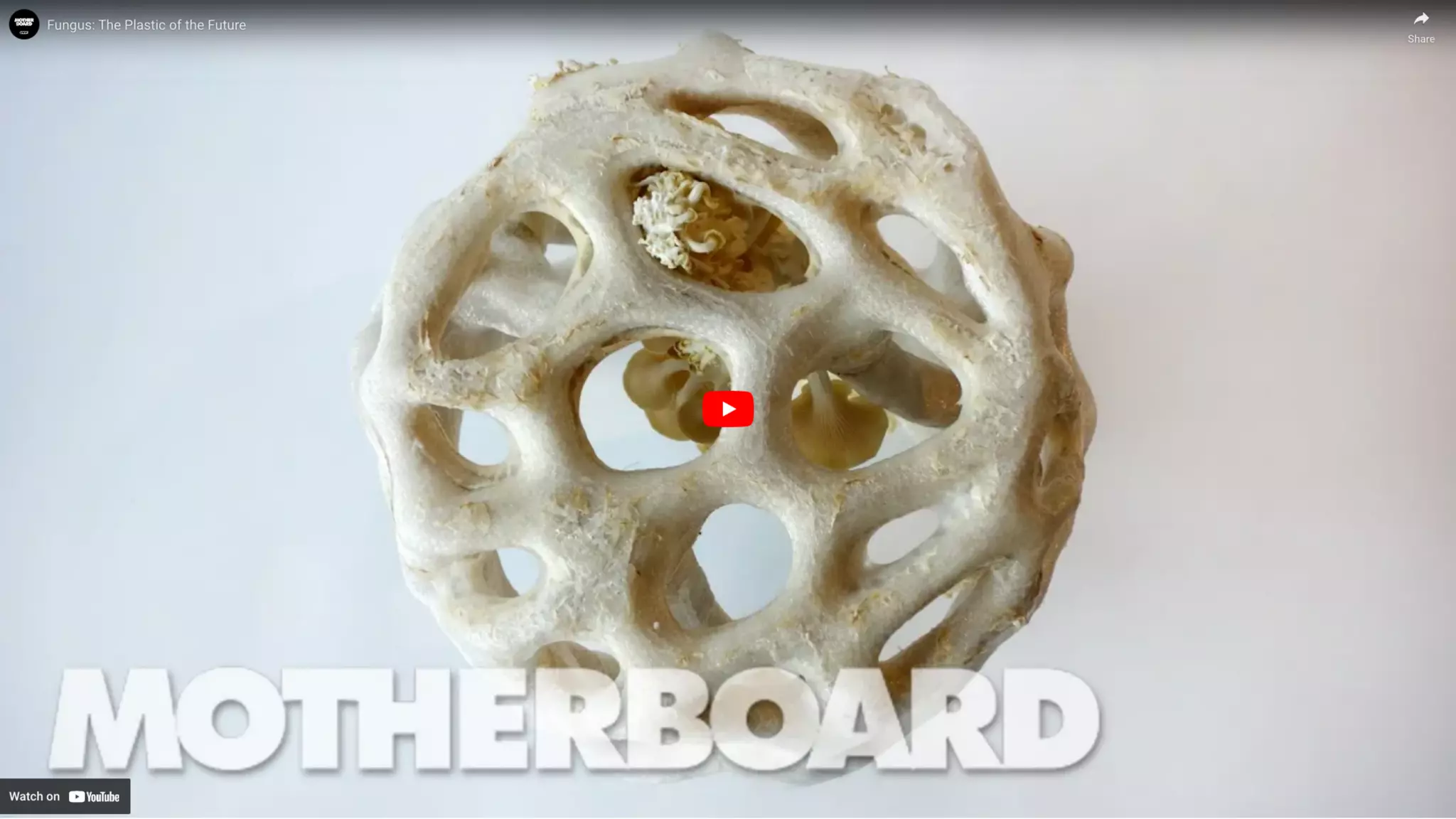 SCIENCE INVESTIGATORY Project.pdf