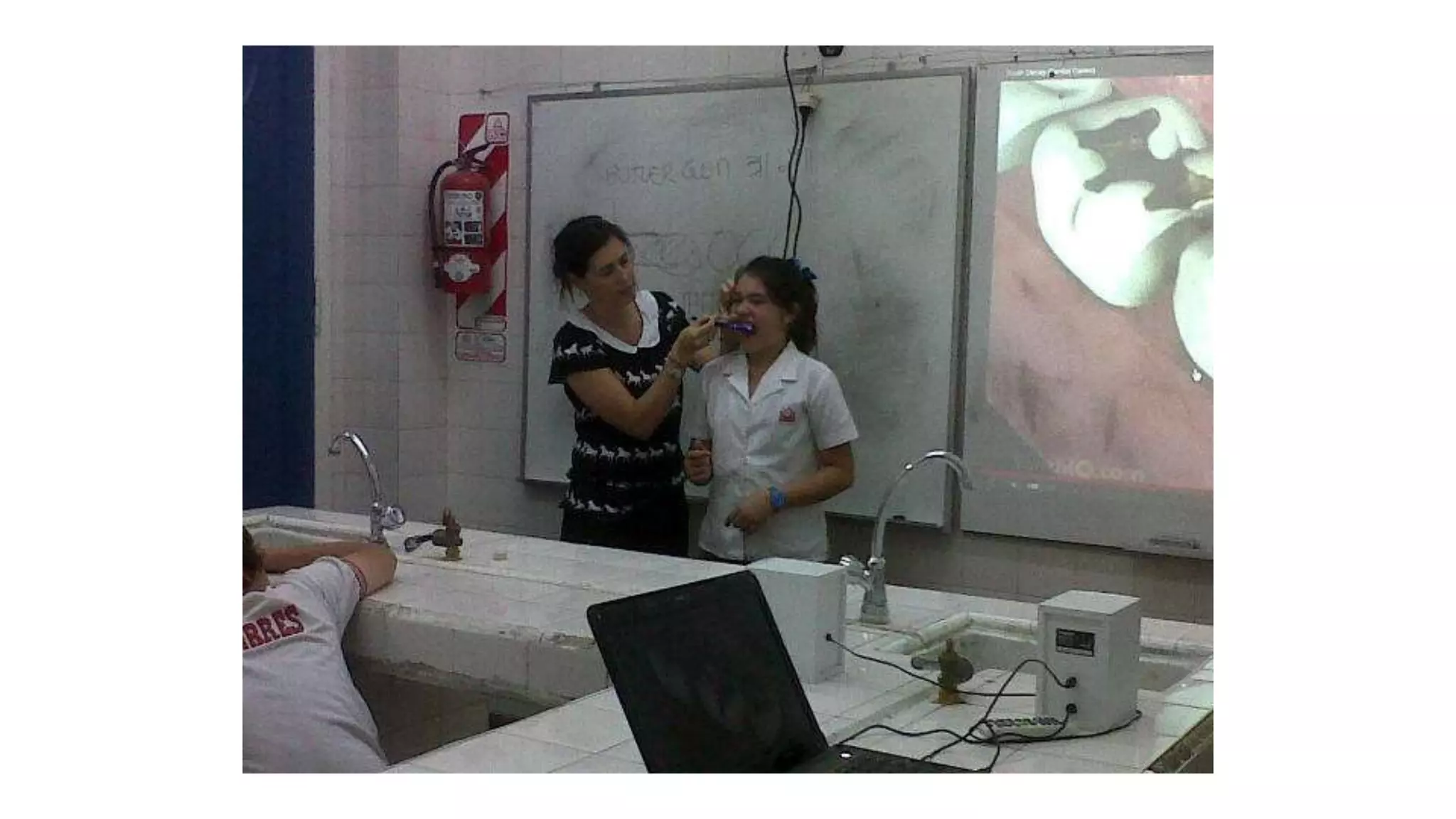 Science Junior 7 - Microorganisms | PPTX