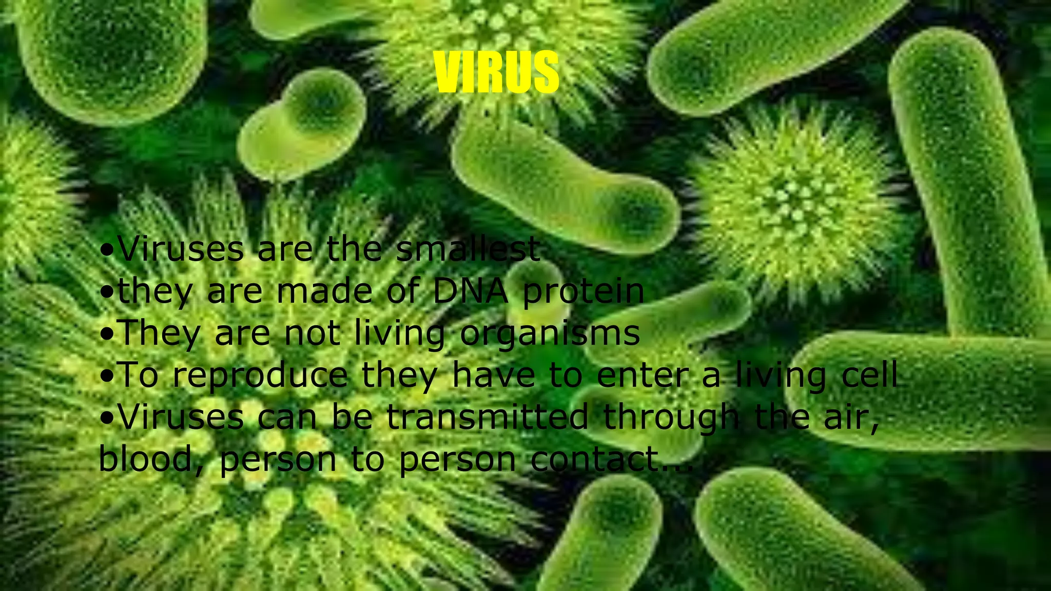 Science Junior 7 - Microorganisms | PPTX