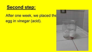 Science Junior 7 - Microorganisms | PPTX
