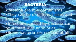 Science Junior 7 - Microorganisms | PPTX