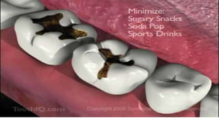 Science Junior 7 - Microorganisms | PPTX