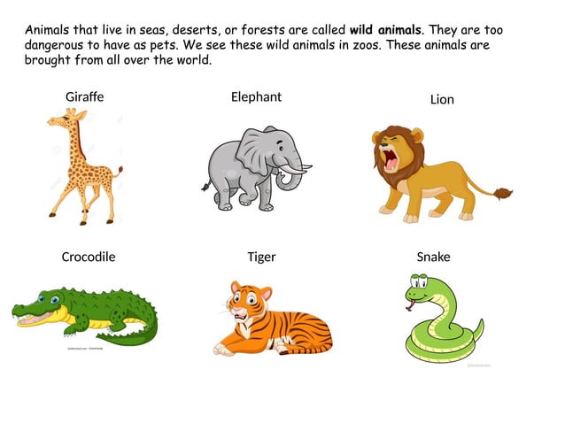 Science K2 Animals.pptxScience K2 Animals.pptx