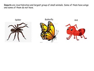 Science K2 Animals.pptxScience K2 Animals.pptx