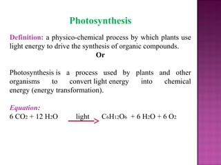 Photosynthesis | PPT | Chemistry | Science