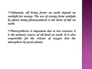 Photosynthesis | PPT | Chemistry | Science