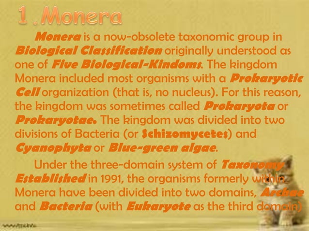 Science kingdom of monera | PPT