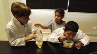Science kitchen activity | PPT