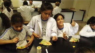 Science kitchen activity | PPT