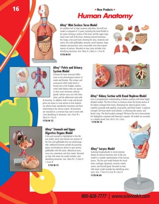 ElectroCorr - Science Kit New Products Catalogue 2011 | PDF