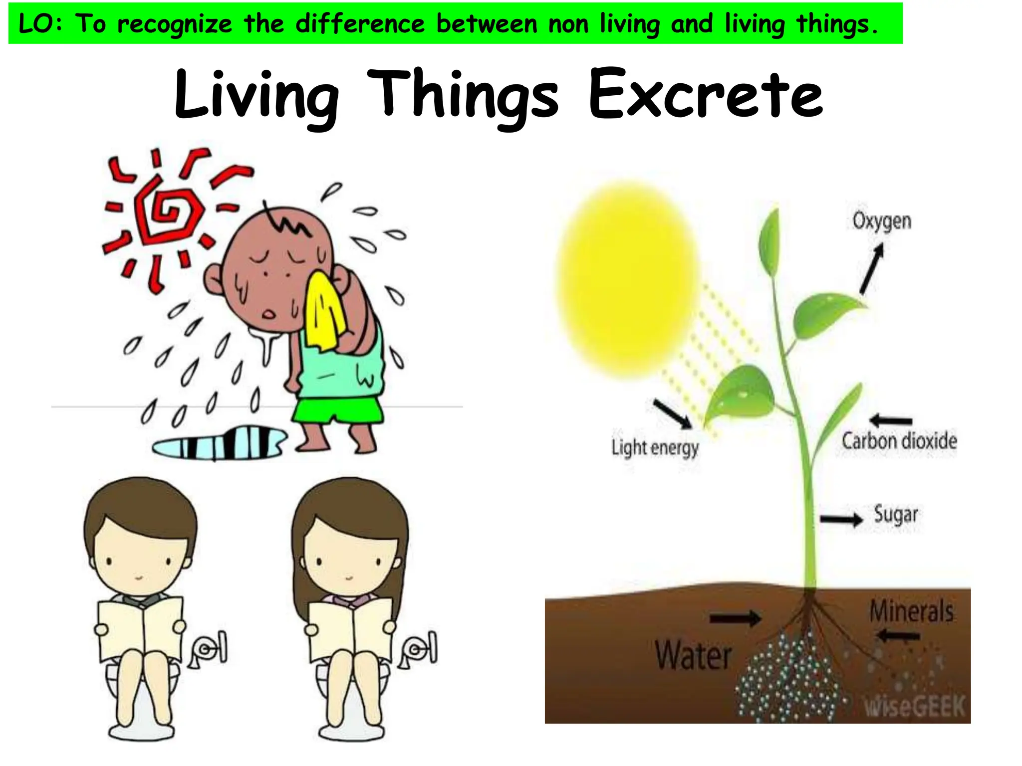 Science L2 Living and Non living Things.ppt