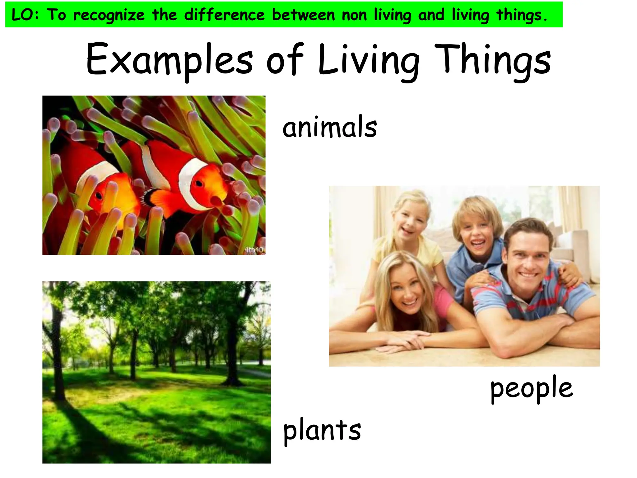 Science L2 Living and Non living Things.ppt