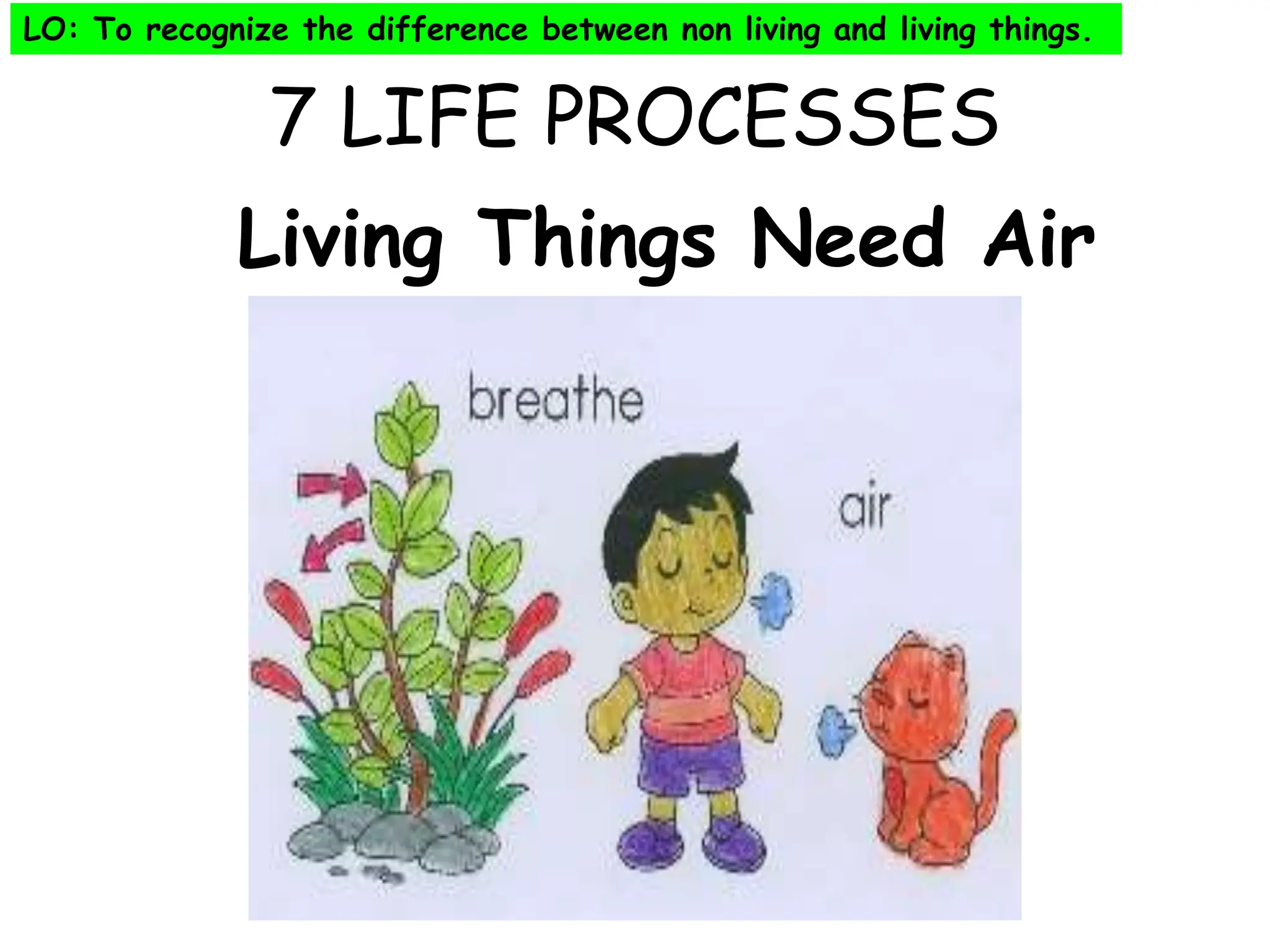 Science L2 Living and Non living Things.ppt