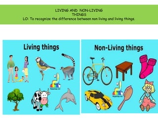 Science L2 Living and Non living Things.ppt
